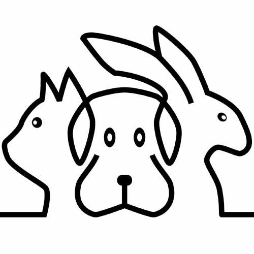 Animalerie en ligne accessoires et alimentation animaux - Instant Animal